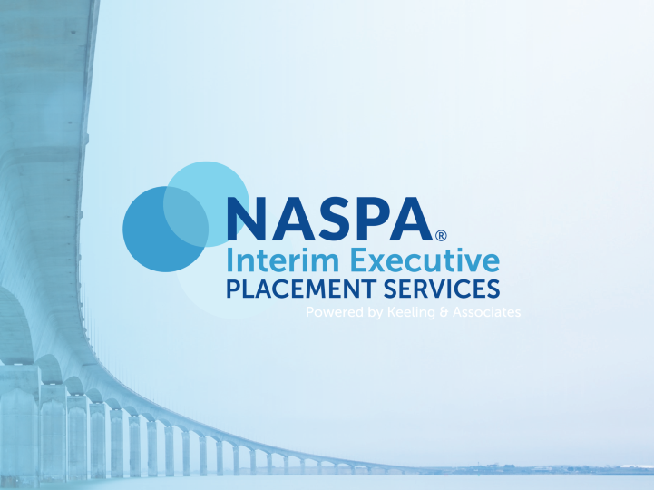 Interim Executive Placement Services